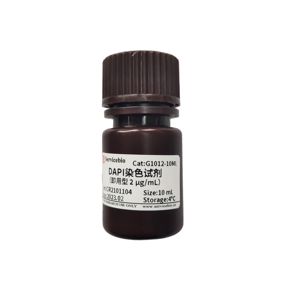 G1012-10ML Fluorescent Dye DAPI Staining Reagent from China ...