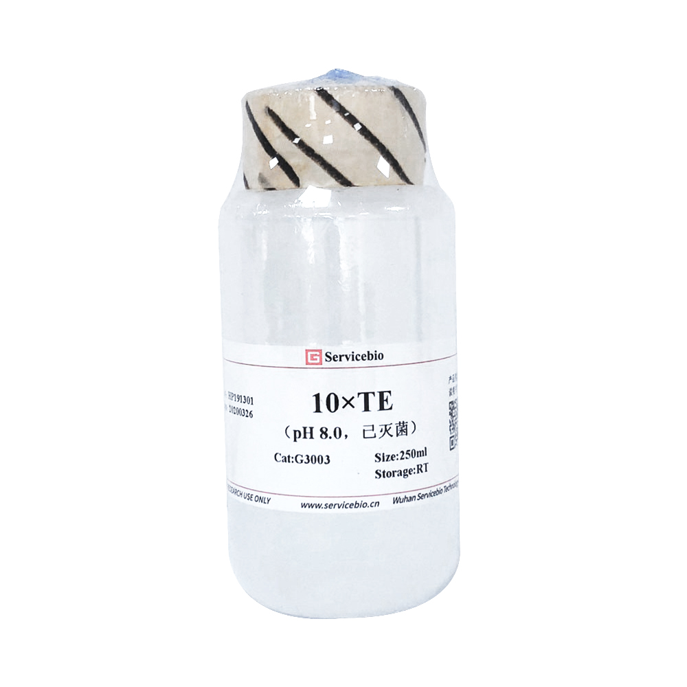 10×TE pH 8.0 Molecular Biology Nucleic Acid Extraction Buffer from China manufacturer - Servicebio